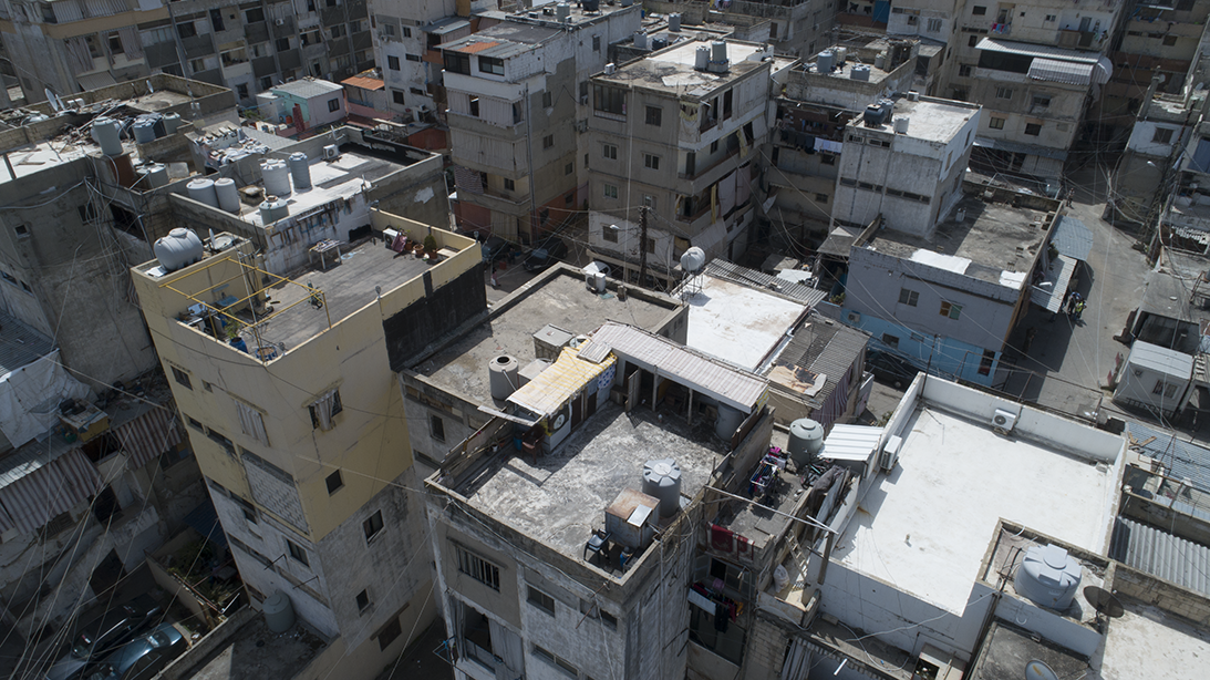 Sustainability & Climate Action – Hariri Foundation