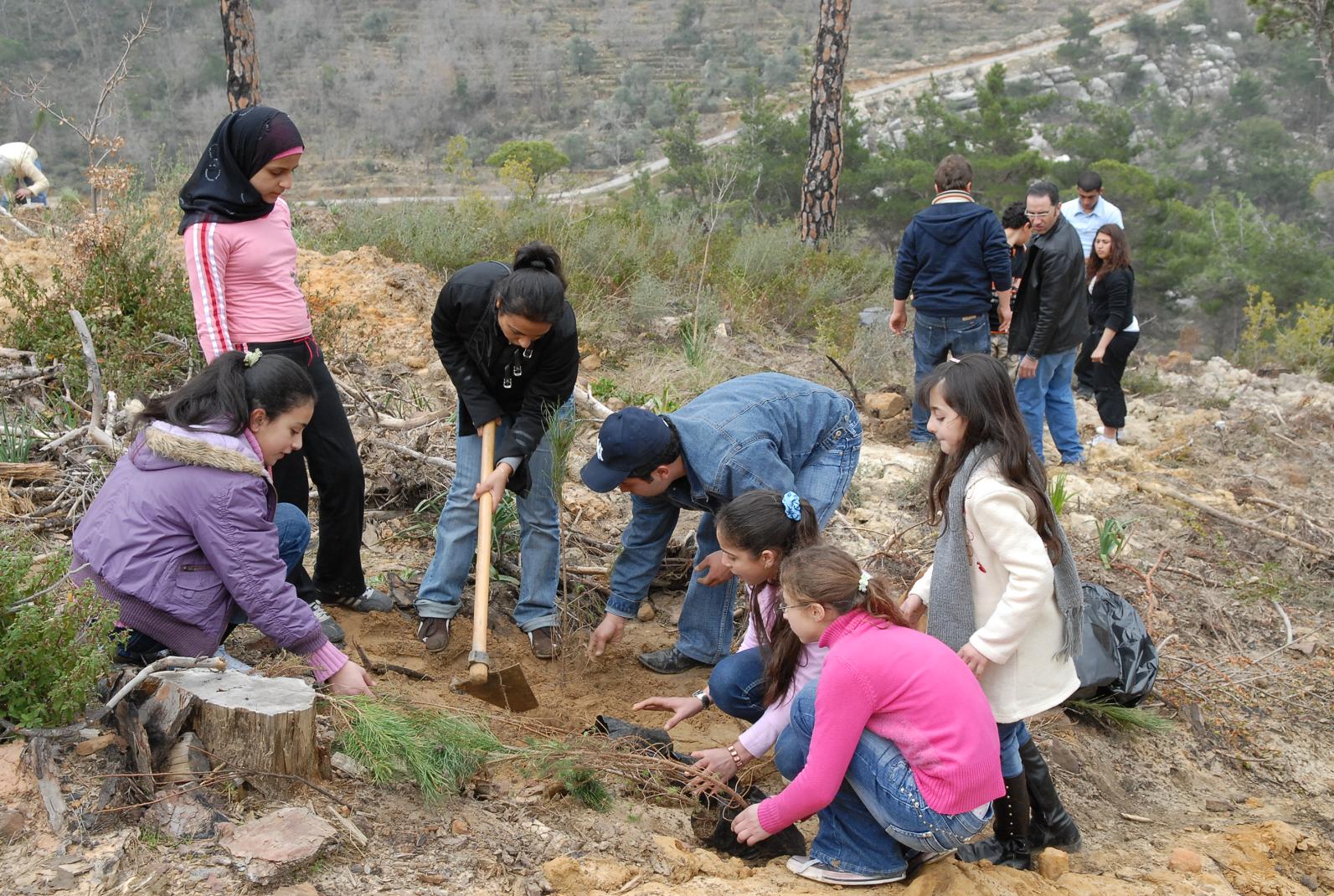 Sustainability & Climate Action – Hariri Foundation