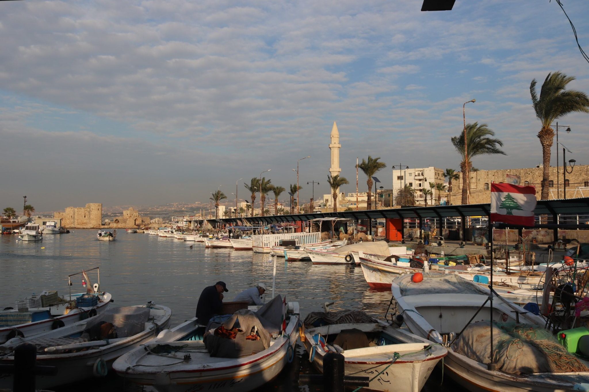 Sustainability & Climate Action – Hariri Foundation